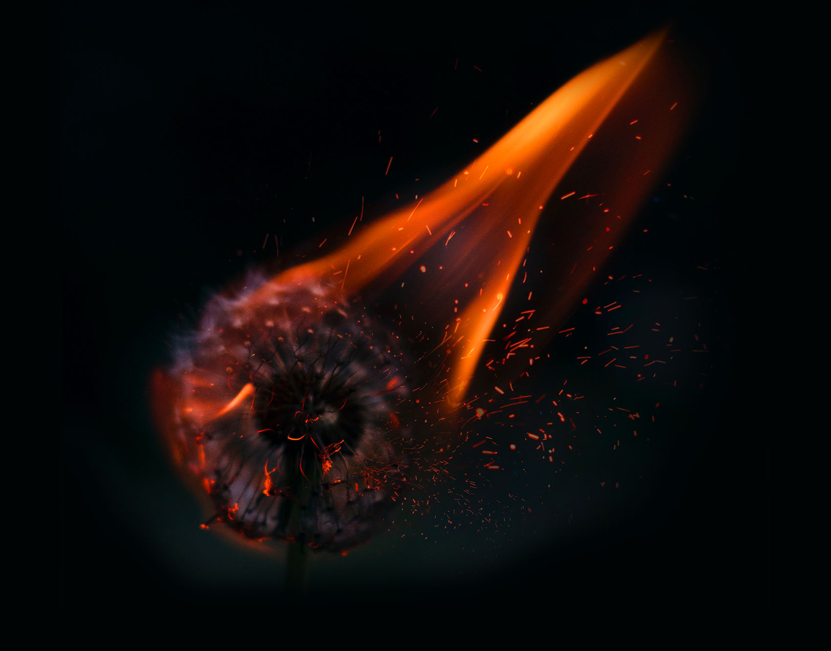 Home 5 - EH Psicologia